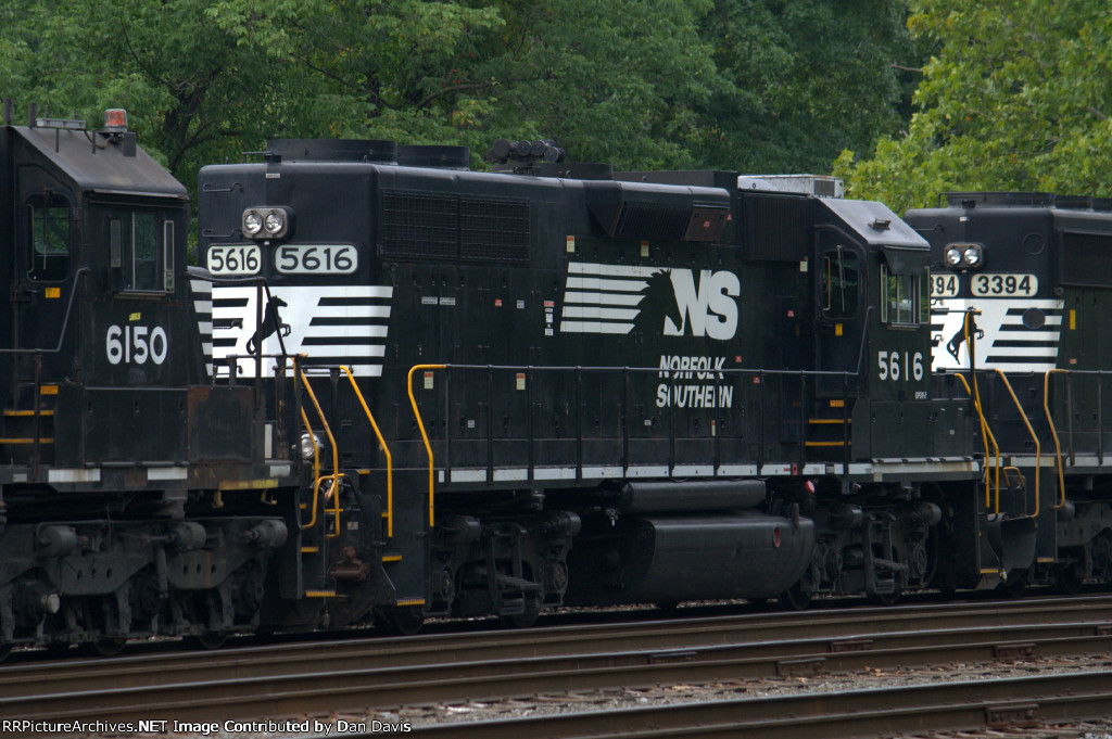 NS 5616